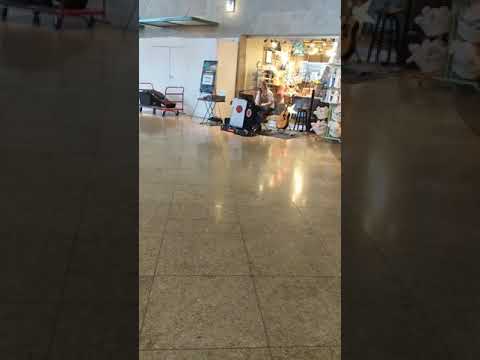 Seattle Airport Live Music