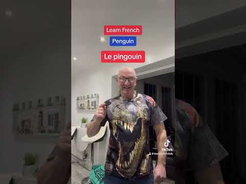 Learn French - #shorts - PENGUIN in French - #Youtubeshorts - French Lessons