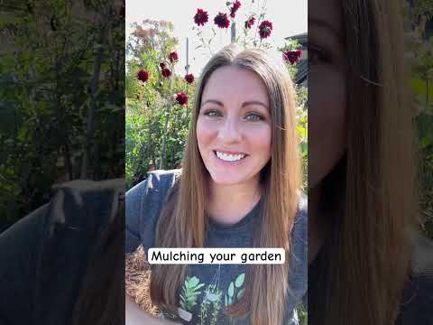 Why You Should Mulch Your Garden #gardening #gardentips #mulching
