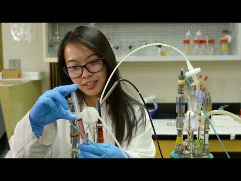 Engineering Internship and Practicum Programs