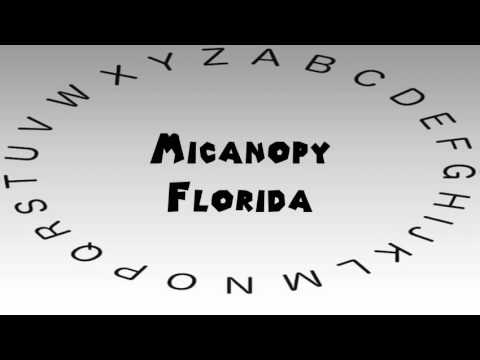 How to Say or Pronounce USA Cities — Micanopy, Florida