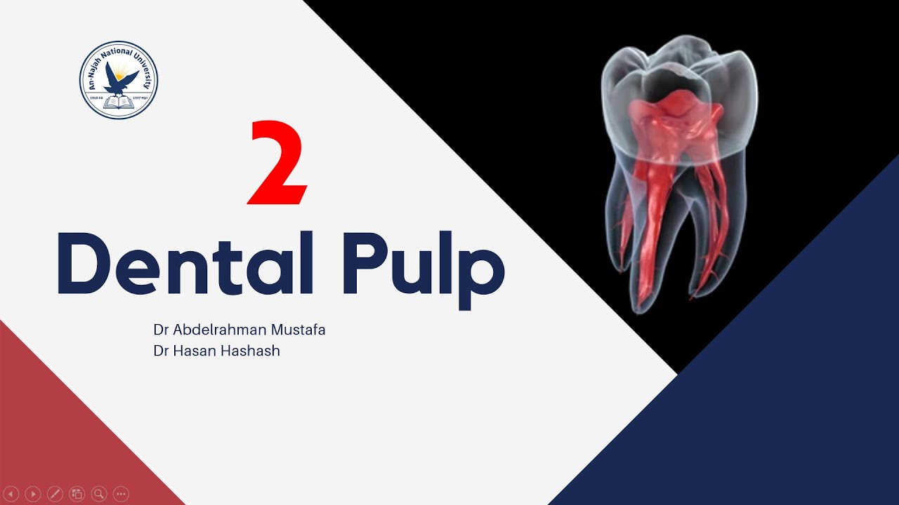 Dental Pulp -  Part 2/3