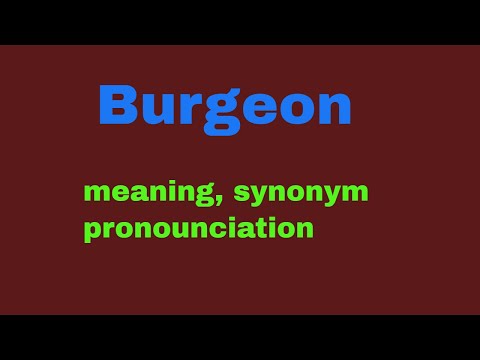 Burgeon Meanning in English, pronounciation, synonym & usage