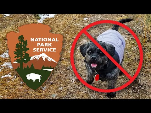Why Aren't Dogs (and Other Pets) Allowed in National Parks?