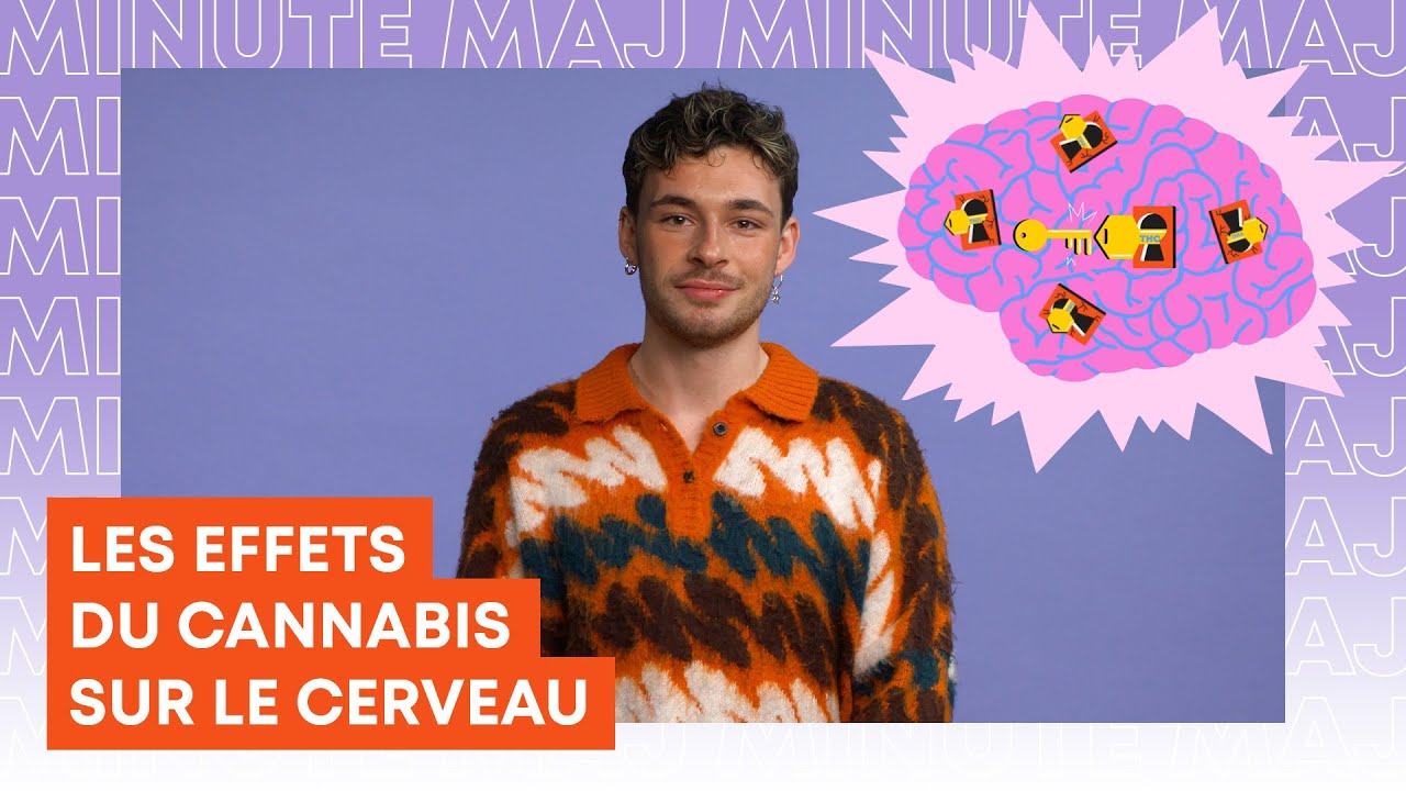 Les effets du cannabis sur le cerveau | Minute MAJ