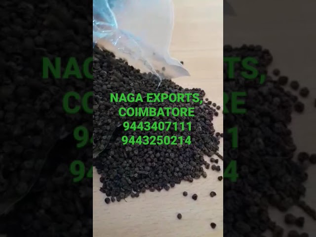 Bold Black Pepper - Black Pepper Pinhead ( 3mm & 4mm mixing ) Exporter ...