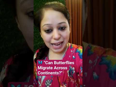 “Incredible Journey: How Butterflies Migrate Across Continents! 🌎🦋” @GradeDoor