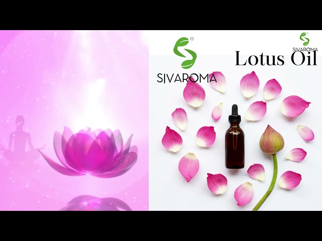 Essential Oils - Lotus Essential Oil Manufacturer from Noida