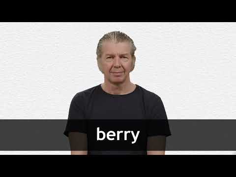 BERRY 释义 | 柯林斯英语词典