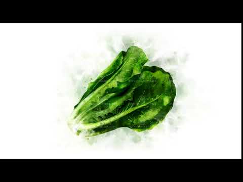 Animation of a lettuce salad Image