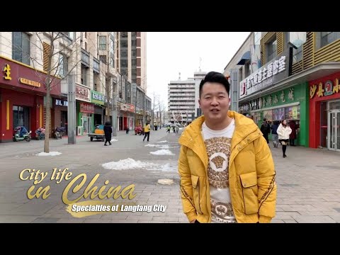 City life in China: Taste Langfang's meat pie