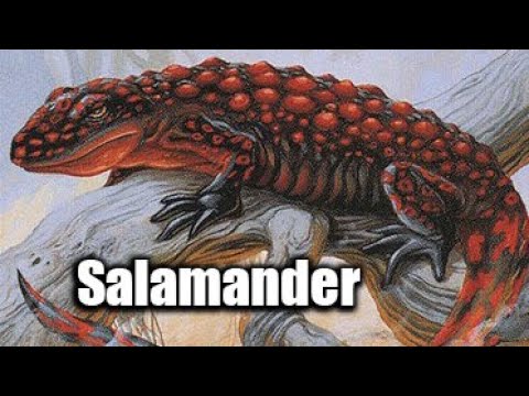 The Mythology of the Salamander