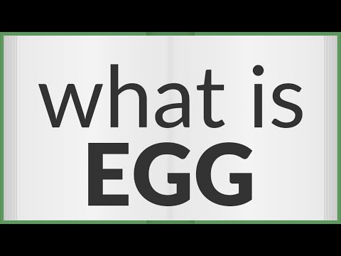 Egg | meaning of Egg