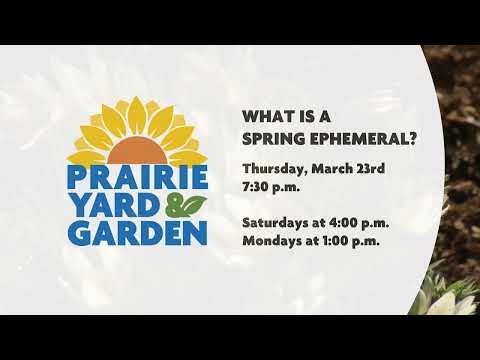 UPCOMING NEW EPISODE | Prairie Yard & Garden 3608 | What is a Spring Ephemeral