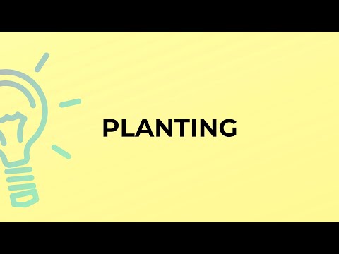 What is the meaning of the word PLANTING?