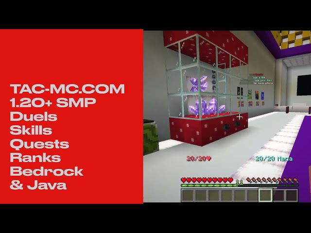 TAC-MC.com | Crossplay | 1.20.1 World Gen | SMP/PVE | Kit Duels ...