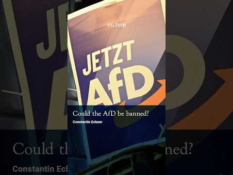 Could Germany ban the AfD? Constantin Eckner on the attempts to prohibit the AfD from elections.
