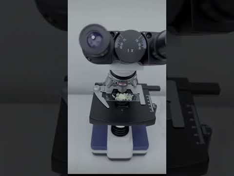 Rice under the microscope #microscope #undermicroscope #micro #macro #usa