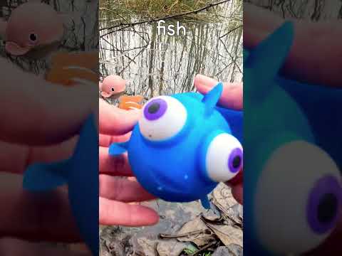 Pond Learning | Sea Animal Names for Babies Kids: Eel Fiddler Crab Fish Dolphin