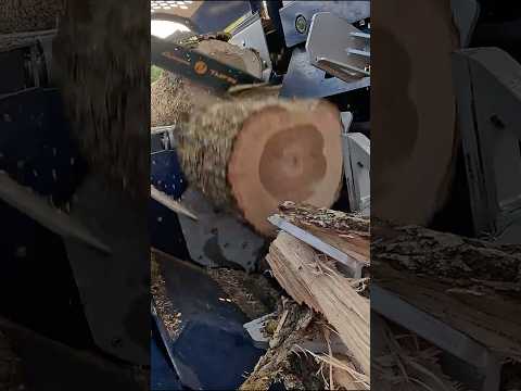 FIREWOOD SOLD! FIRST LOAD #firewood