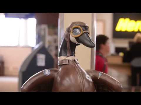 Fly Local - Rochester International Airport - RST