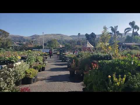 A Visit to Plant Depot