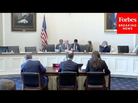 SHOCK MOMENT: Self Called Out By Dem For Calling Sarah McBride 'Mr. McBride,' Then He Ends Hearing