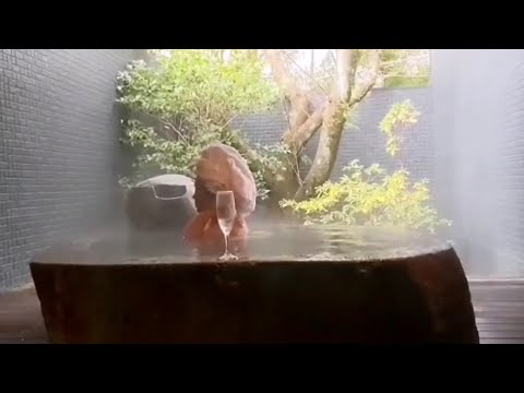 JAPAN BATH ONSEN FAMILY VILLA ROOM WITH AN OUTDOOR GARDEN