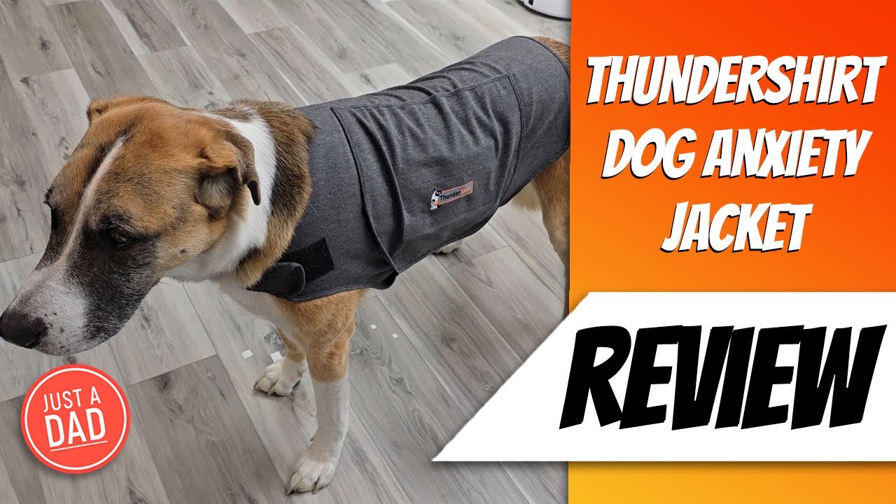 ThunderShirt Dog Anxiety Jacket REVIEW