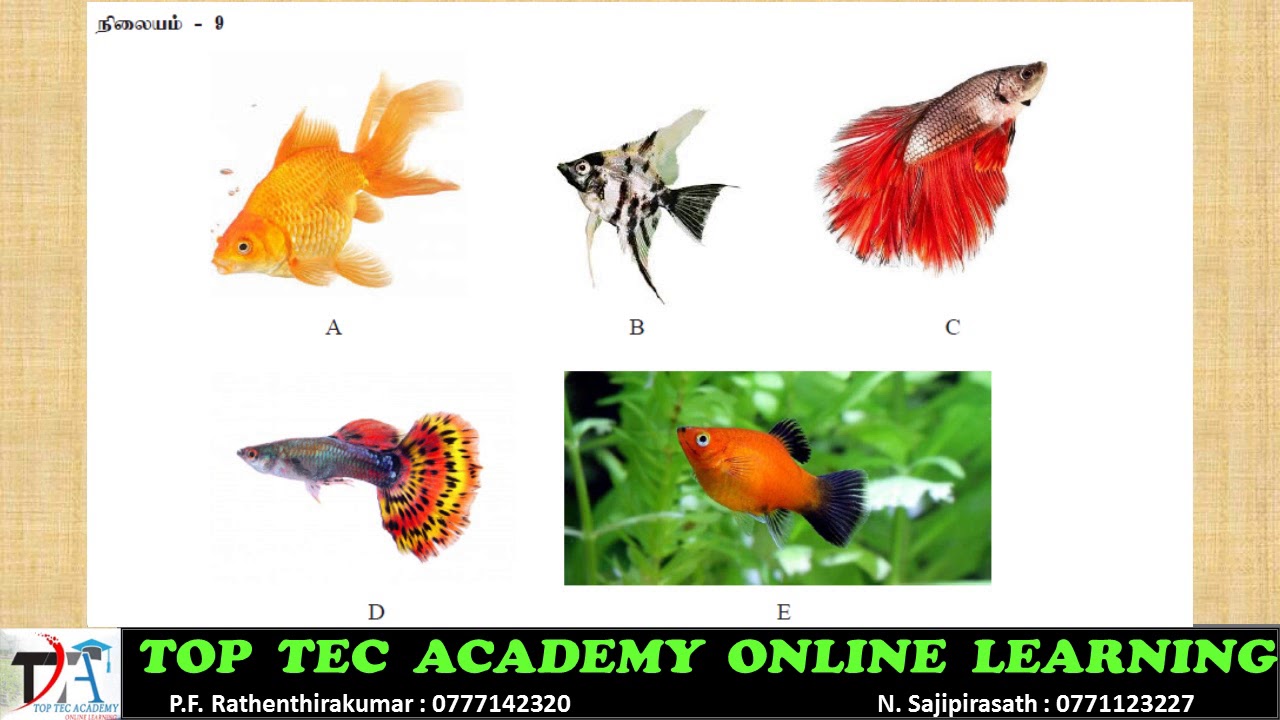 BST SPOT EXAM 01