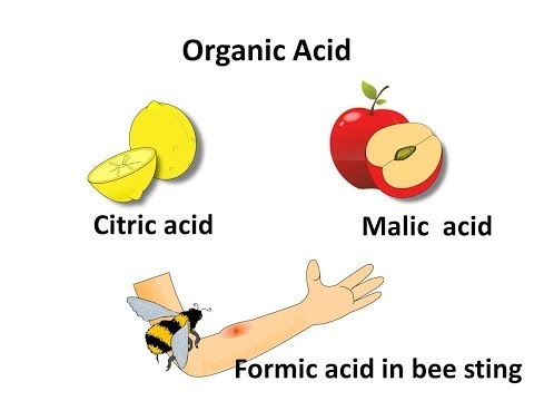 What are acids and bases? - Acids, Bases and Salts - CBSE Class 7 ...