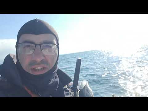 FURUNO BALIK BULUCU VE KALAMAR AVIM