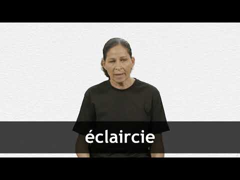 English Translation of “ÉCLAIRCIE” | Collins French-English Dictionary