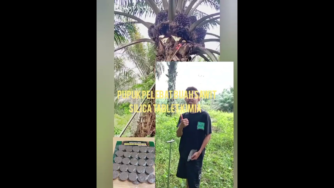 VIRAL (PUPUK KIMIA PELEBAT BUAH SAWIT ) SILICA TABLET