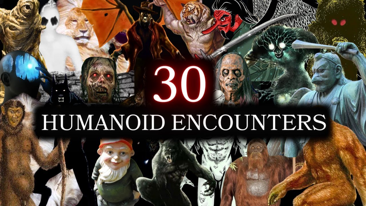 30 Interesting Humanoid Encounters Explained