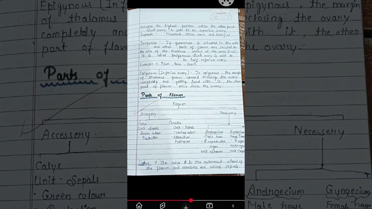 class 11 chapter 5 biology notes ✍️