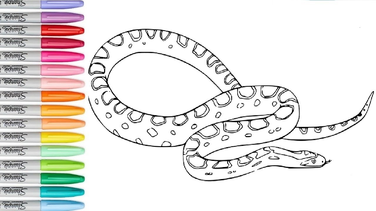 Anaconda Snake Drawing and Coloring Pages For Kids and Children