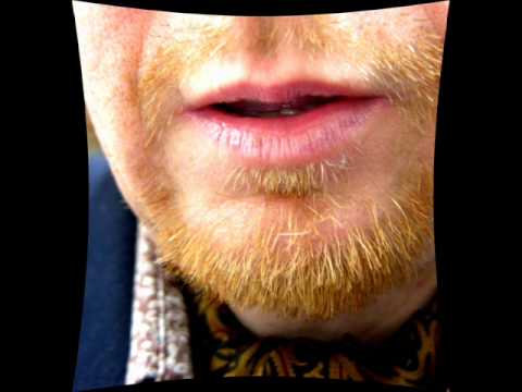 A Satire on the Poet's Beard