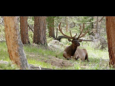 Perfect Camera Lens for National Park Vacations: TAMRON 18-400