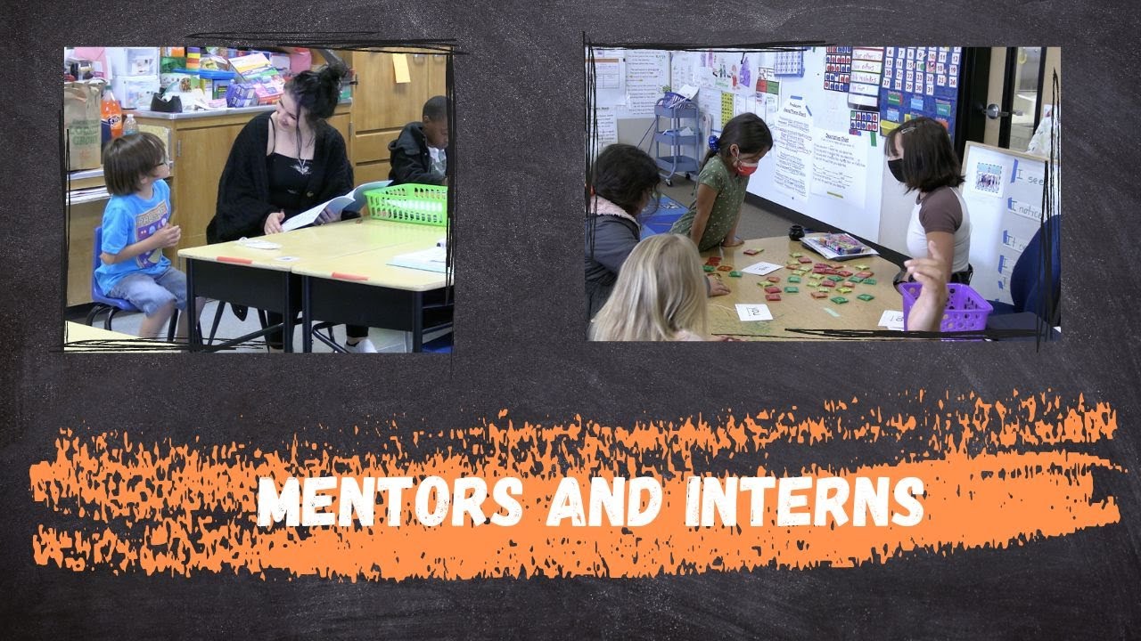 Mentors and Interns