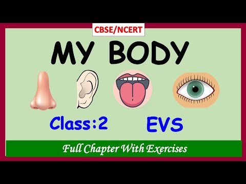 My Body | Class 2 EVS | Body parts | Parts of the Body | EVS grade 2 ...
