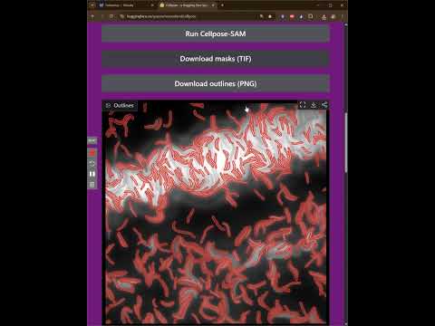 Cellpose-SAM on Hugging Face Spaces
