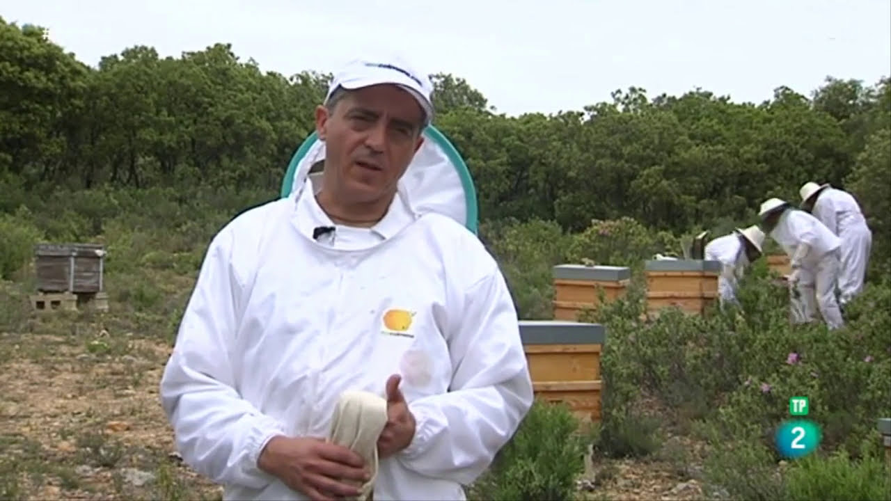 ecocolmena - Crowdfarming - Apadrina una Colmena ®