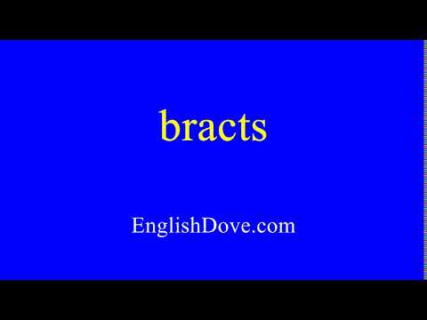 How to pronounce bracts in American English