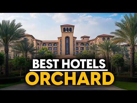 Best Hotels In Orchard, Singapore - Top 5 Picks For Any Budget