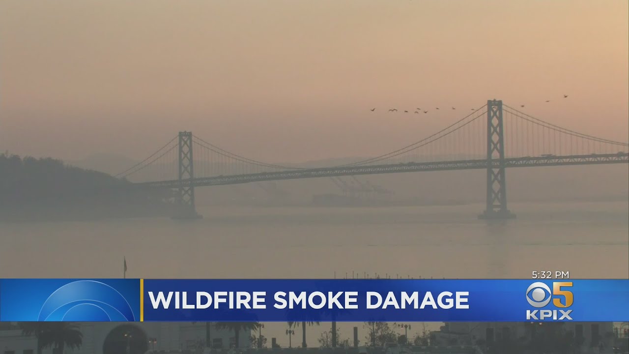 Wildfire Smoke Revealed To Be More Damaging Than Originally Believed