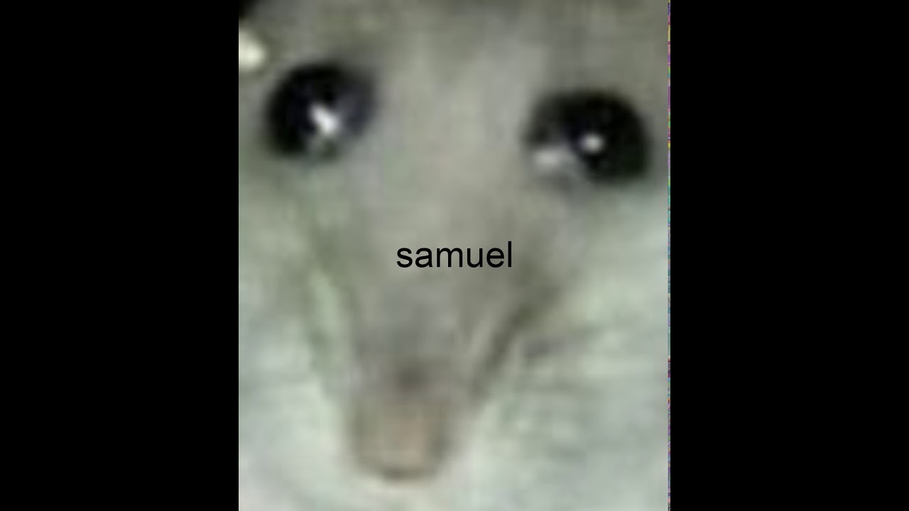 Meet Samuel