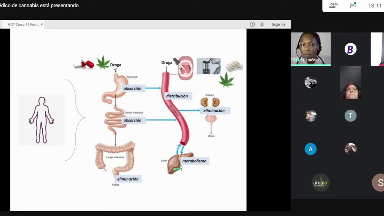 Seminario: Interacciones farmacológicas del cannabis