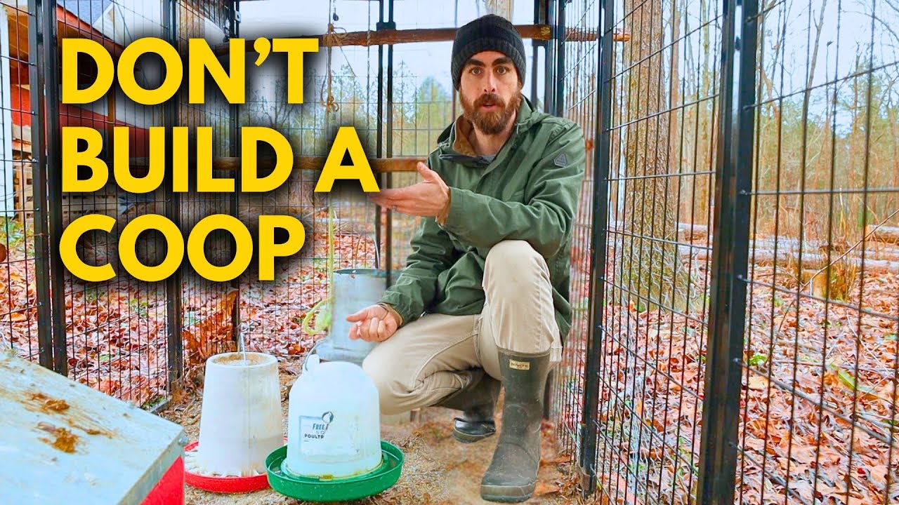 Before You Build a Chicken Coop Watch This