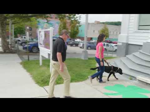 Guiding Eyes for the Blind Mission Video (60s)